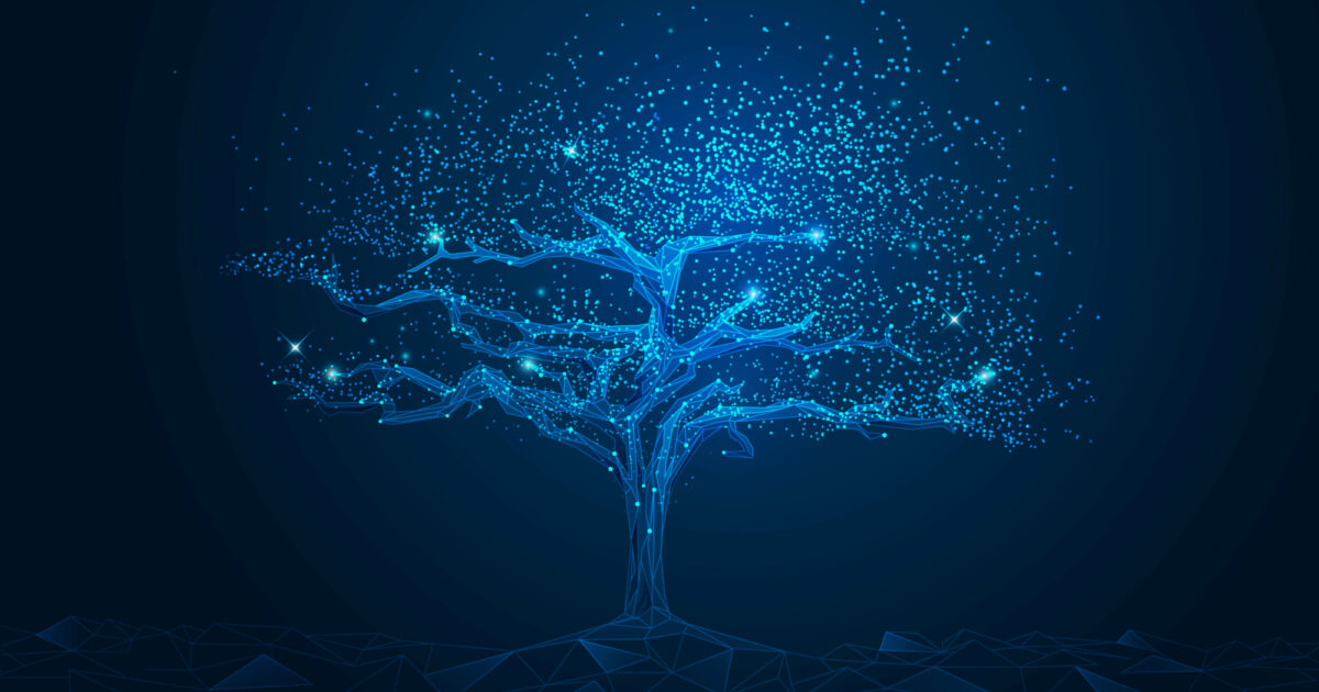 Easily connect to the LTN Network with LTN connectors. | LTN